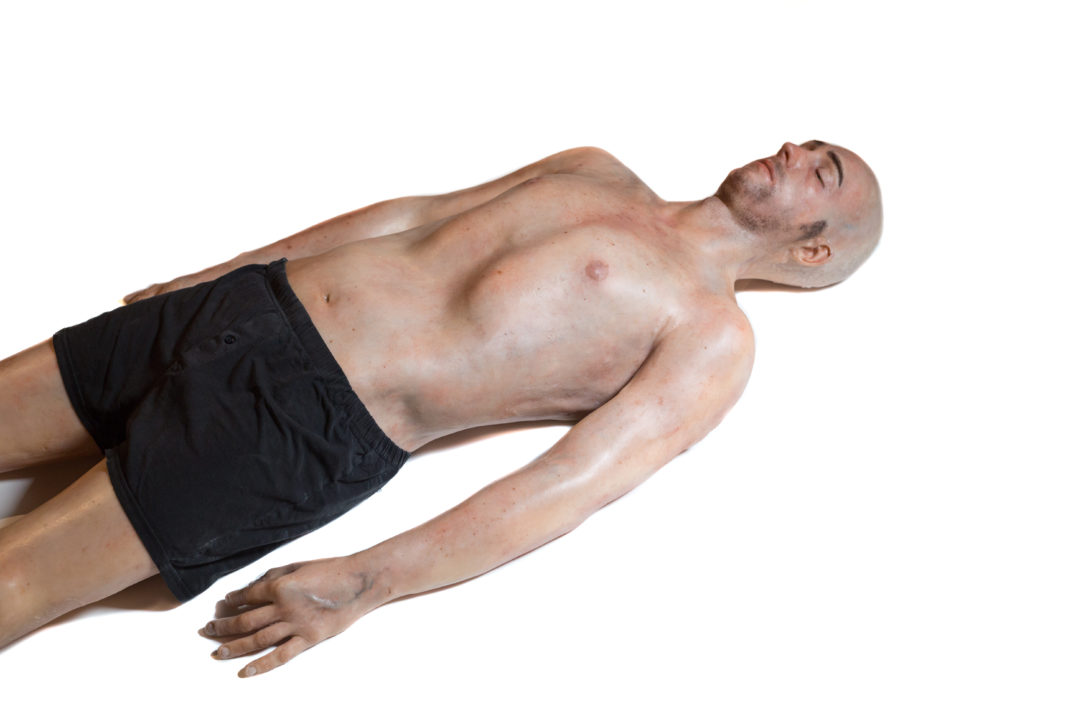 Nottingham expert creates incredible human body replica to train ...