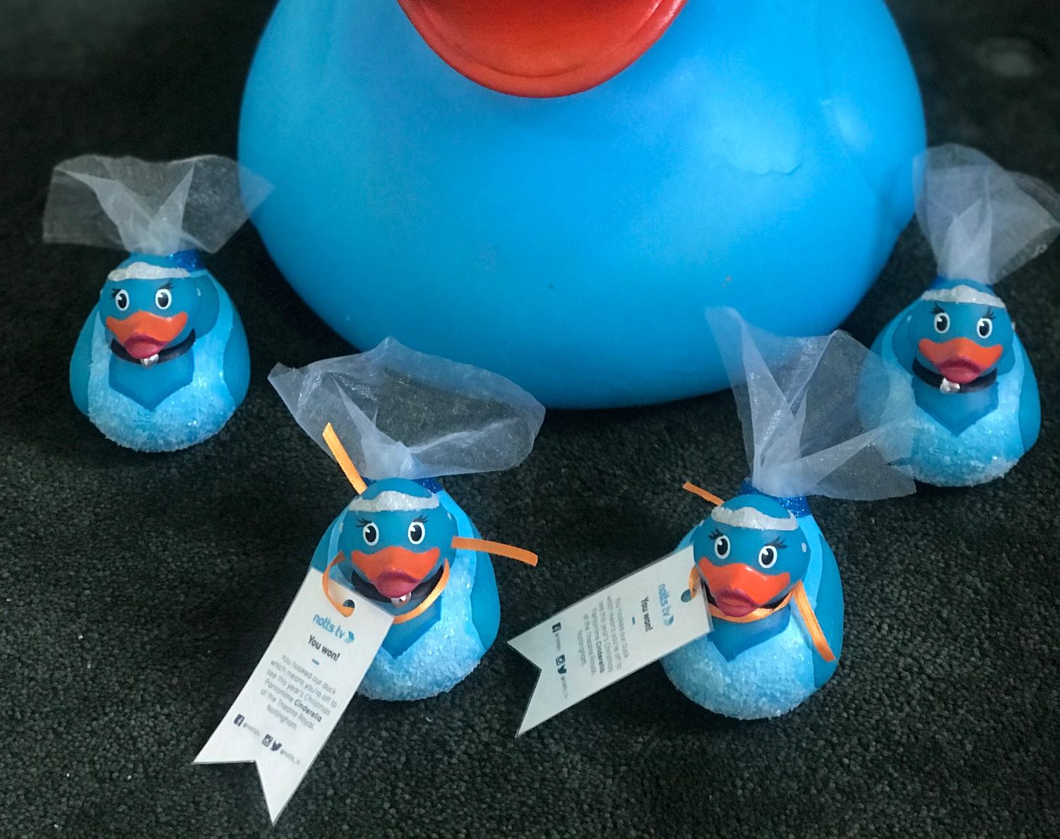 cinderella duck – Notts TV News | The heart of Nottingham news coverage ...