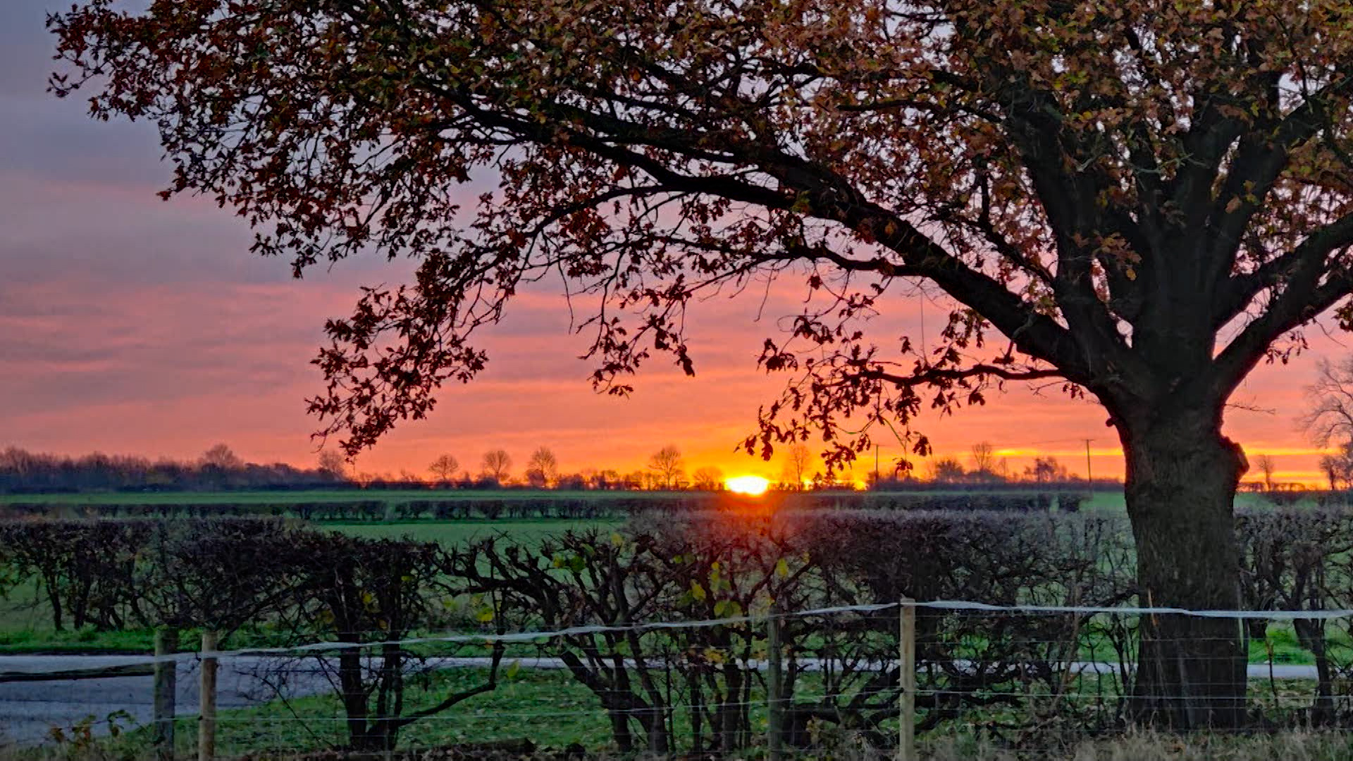 Notts Today, Monday 9th January - Notts TV News | The heart of ...