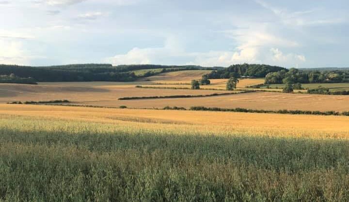 Plans for 100 homes on Hucknall's 'Misk Hills' could be turned down ...