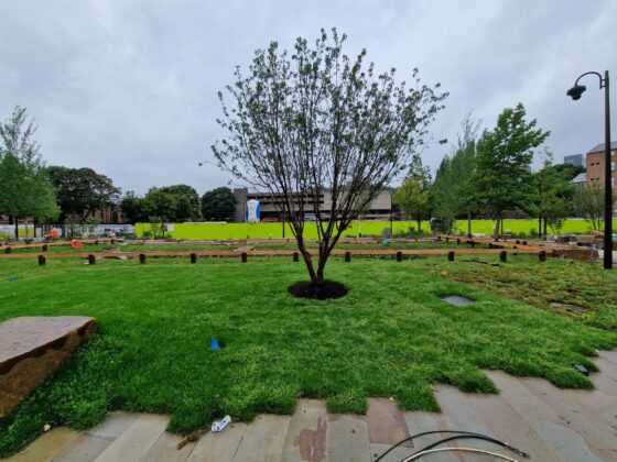 Broadmarsh Green Heart nature space to open today on former Nottingham ...