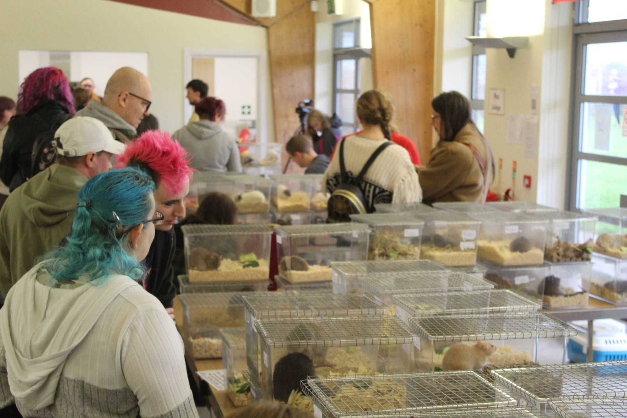 ‘My rat has saved my life’: Pet owners in Nottinghamshire on the life ...